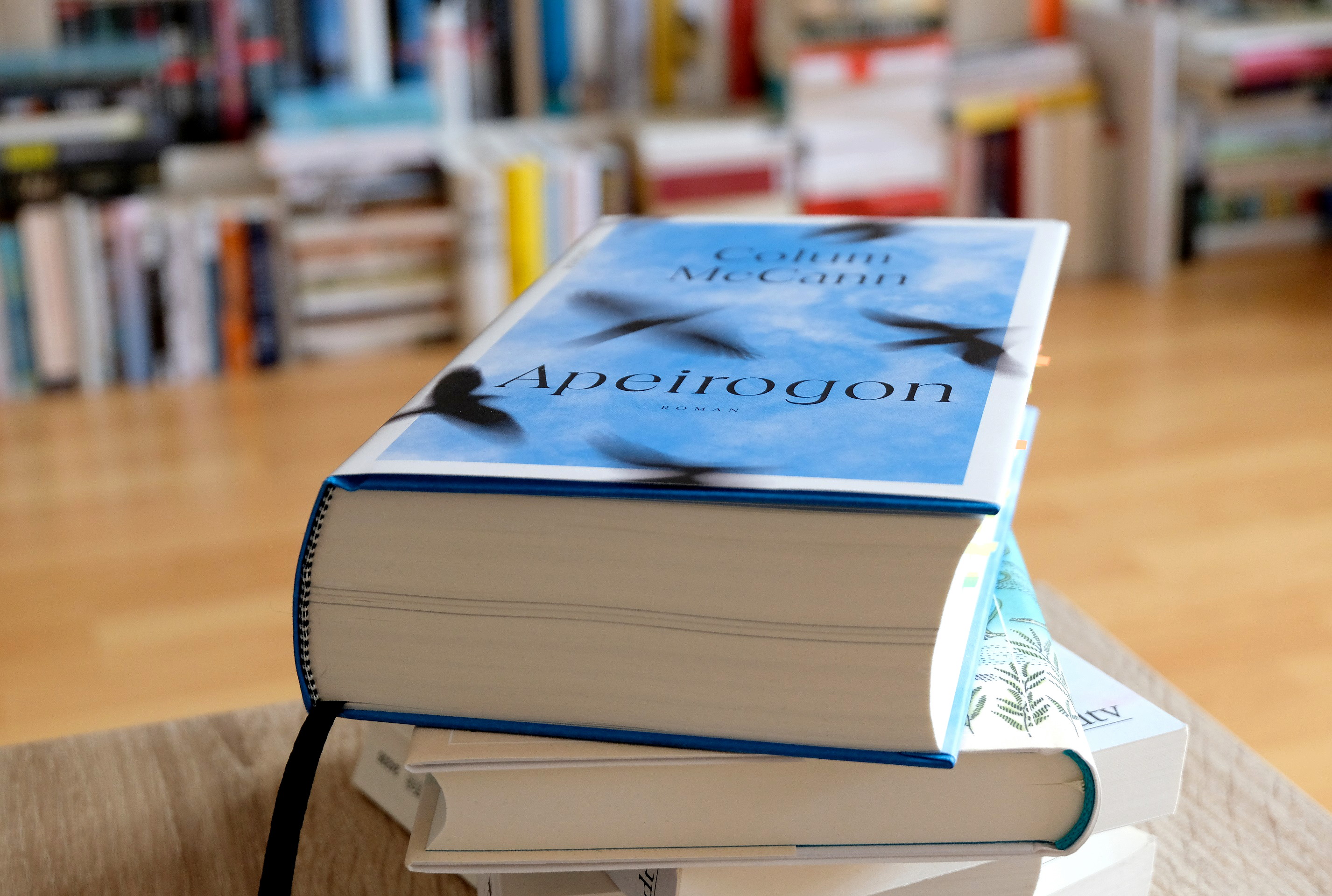 Colum McCann – „Apeirogon“ – ZEICHEN & ZEITEN